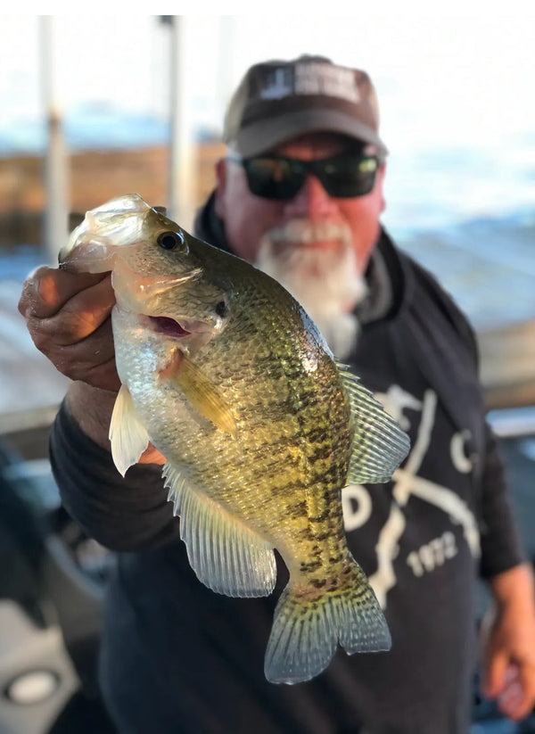 North Louisiana Crappie Fishing Report with John Godwin - B'n'M Pole Company