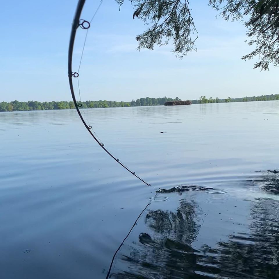 B'n'M Poles - Over 70 Years of Quality and Performance